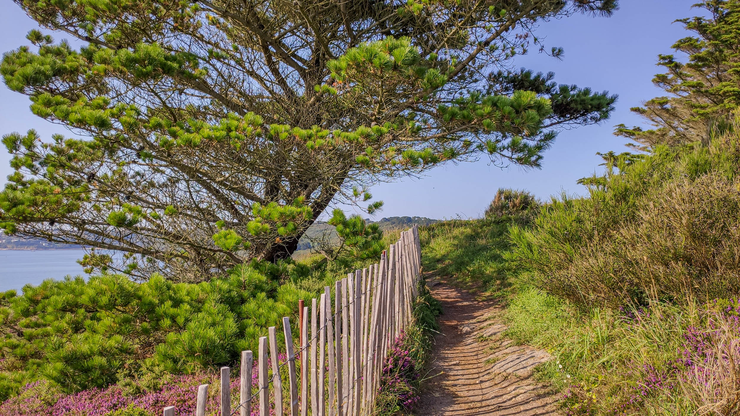 Plage naturiste à Lannion, météo de la Plage de Mez-an-Aod - Bretagne ...